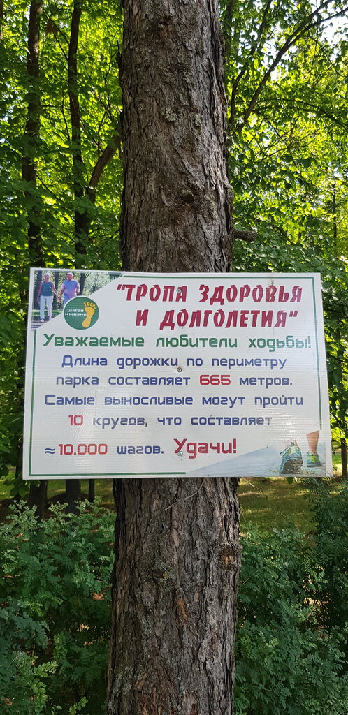 Kültür ve eğlence parkları Центральный парк, Mariy El Cumhuriyeti, foto