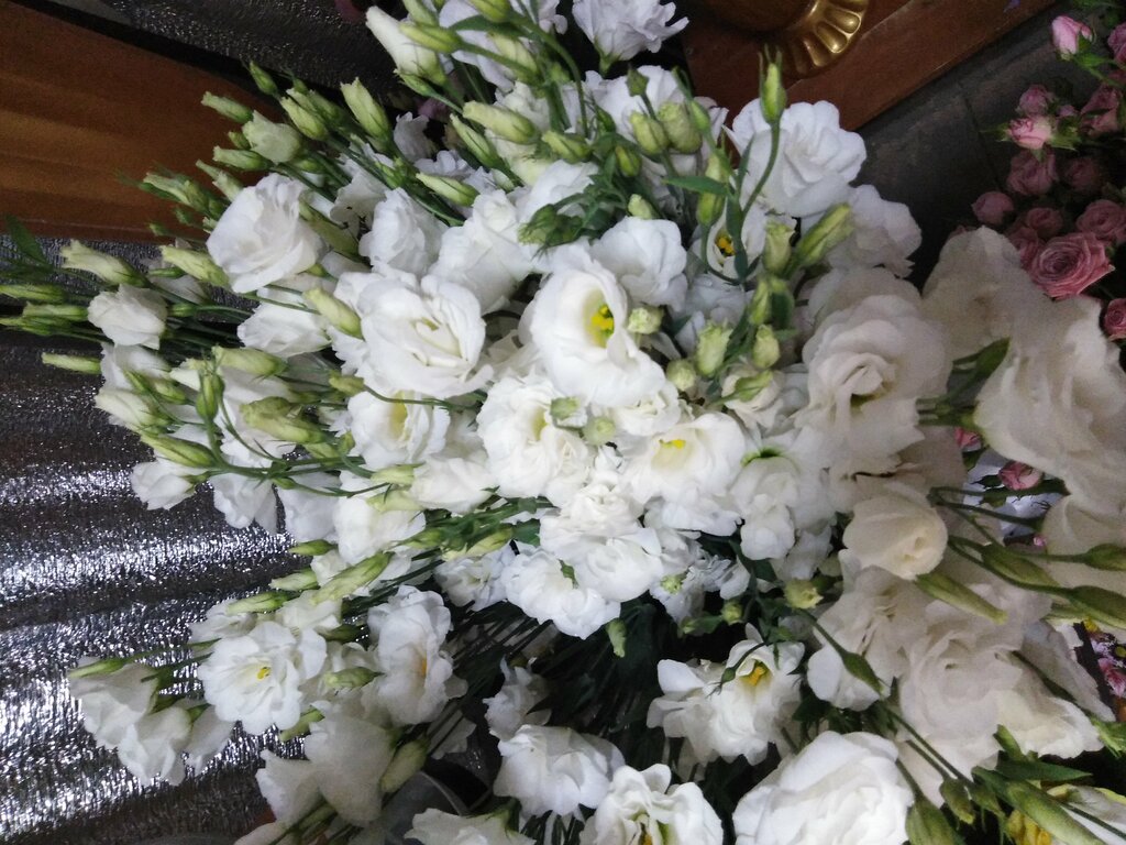 Çiçekçiler Цветы, Rostovskaya oblastı, foto