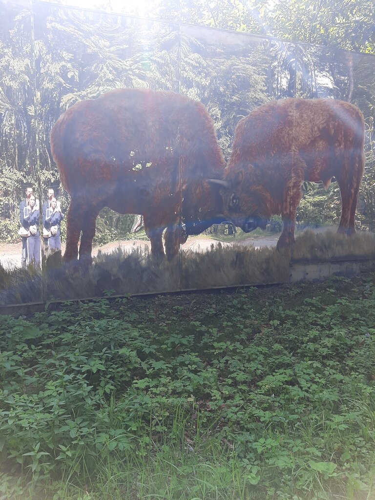 Turistik yerler Здание науки, Moskova ve Moskovskaya oblastı, foto