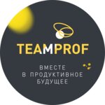 Teamprof (Yelninskaya Street No:15к3, Moscow), led sistemleri  Moskova'dan