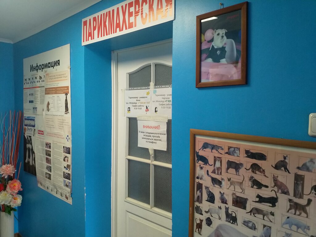 Kuaförler Mishel, Liubertsy, foto