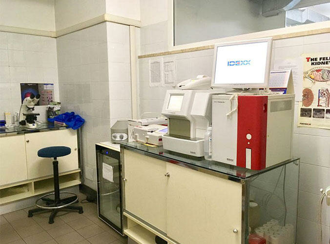 Veteriner klinikleri Veterinaria Fleming, Roma, foto