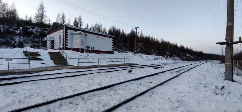 Tren istasyonu разъезд Якутский, Amursk Bölgesi, foto