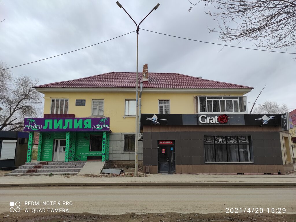 Çiçekçiler Lily, Jezkazgan, foto