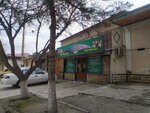 Blossom in the garden (Sadriddin Ayni Street No:119), eğitim merkezleri  Semerkant'tan
