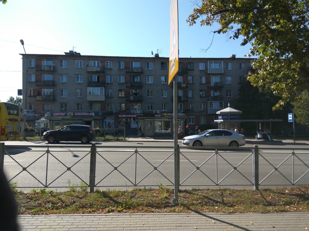 Kasap, şarküteri Мясо, рыба, курица, Vyborg, foto