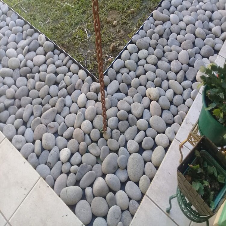Yapay çam ağaçları ve süsleri Entre Verde, Dünya, foto