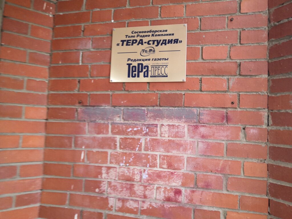 Kablolu televizyon Studiya Tera, Sosnoviy Bor, foto