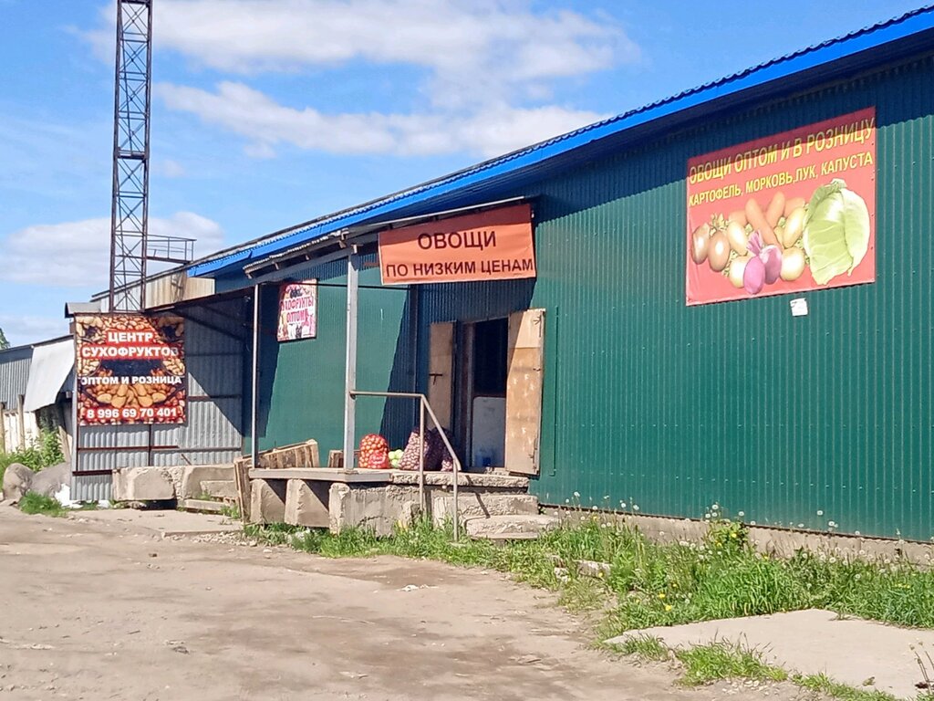 Manavlar Картофель, Yaroslavl, foto