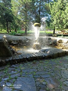 Фонтан Камень (Krasnodar Territory, Goryachiy Klyuch, Kamenniy Tsvetok Park), çeşme  Goriaçi Kliuç'tan