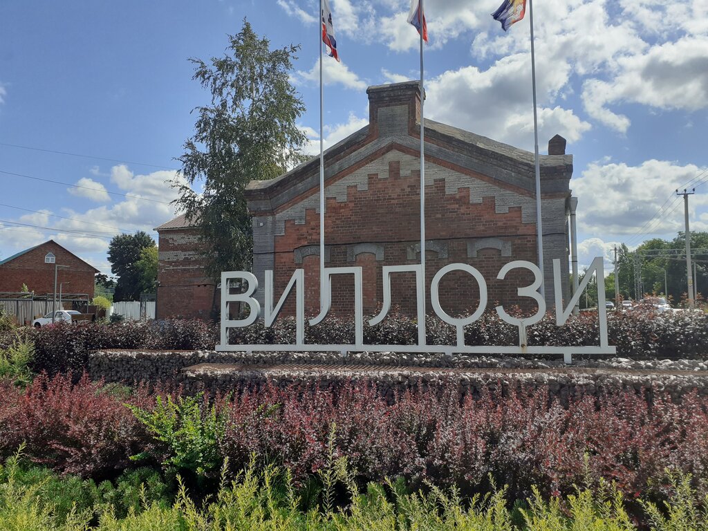 Giriş işareti Виллози, Saint‑Petersburg ve Leningradskaya oblastı, foto