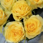 Цветы, игрушки, подарки, семена (No:65А, derevnya Zolotilovo), çiçekçiler  Moskova ve Moskovskaya oblastından