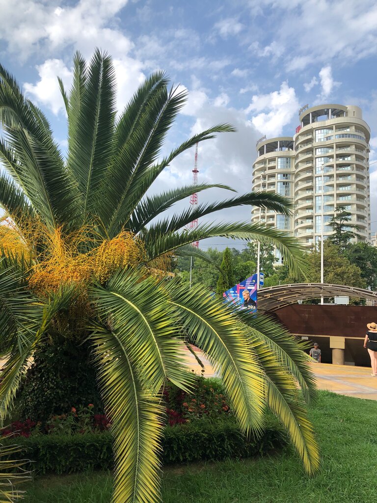 Konut blokları Morskoy Dvorec, Soçi, foto