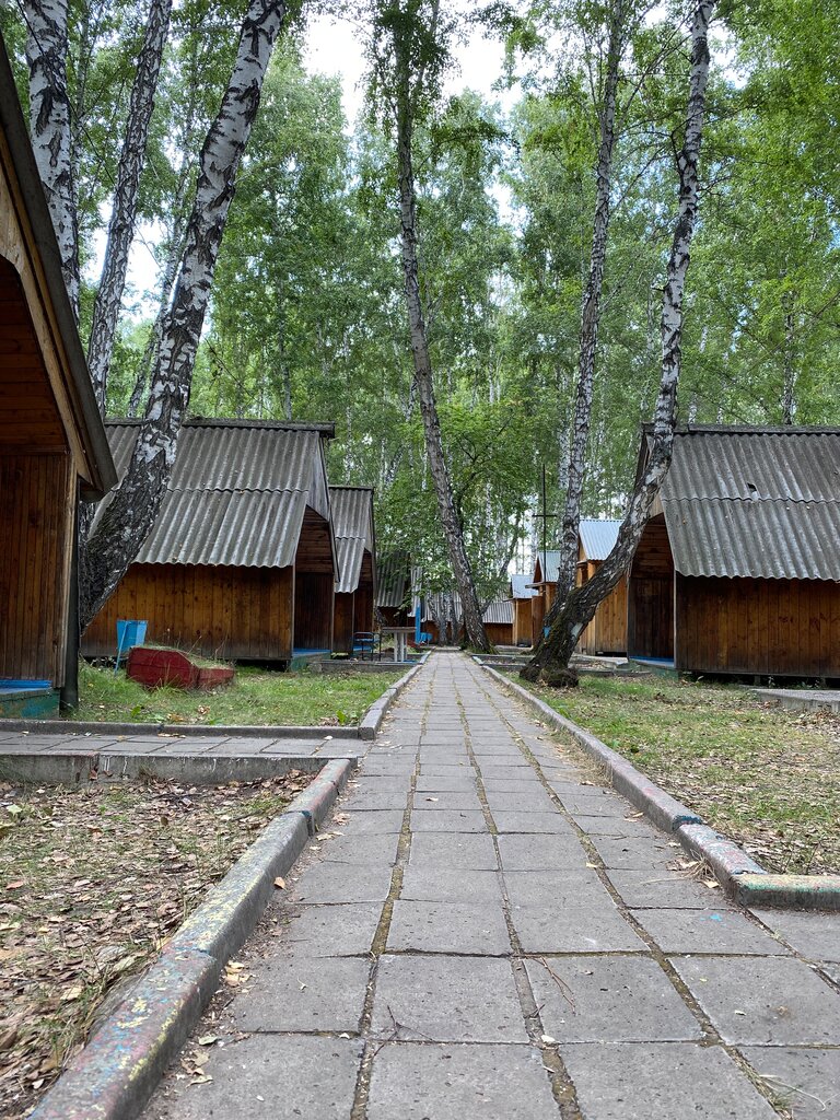 Resort oteller, tesisler Олимп, Novosibirskaya oblastı, foto