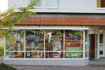 Ginkgo-Apotheke, Apotheken für Spezialversorgung Ohg (Erzinger Weg No:20, Balingen), eczaneler  Balingen'dan