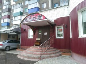 Magnol' i ya (ulitsa Chernyakhovskogo No:31А), otel  Kursk'tan