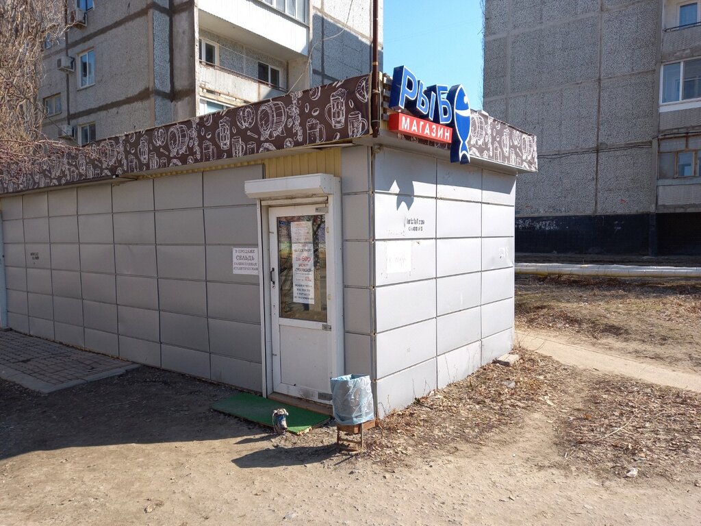 Balık ve deniz ürünleri Рыба, Volgograd, foto