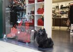 Jp Pelletterie (Via Nizza No:5, Alpignano, Rivoli), kürk ve deri giyim mağazaları  Piyemonte'den