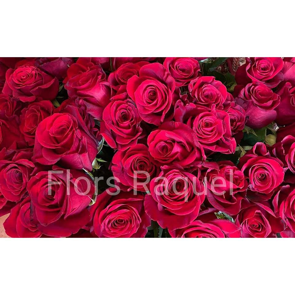 Çiçek teslimatı Flors Raquel, Valensiya, foto