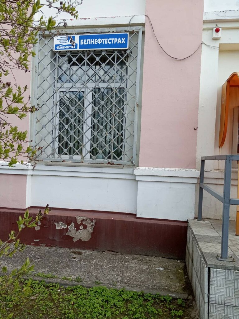 Sigorta şirketleri Zaco Belneftestrah, Minskaya oblastı, foto