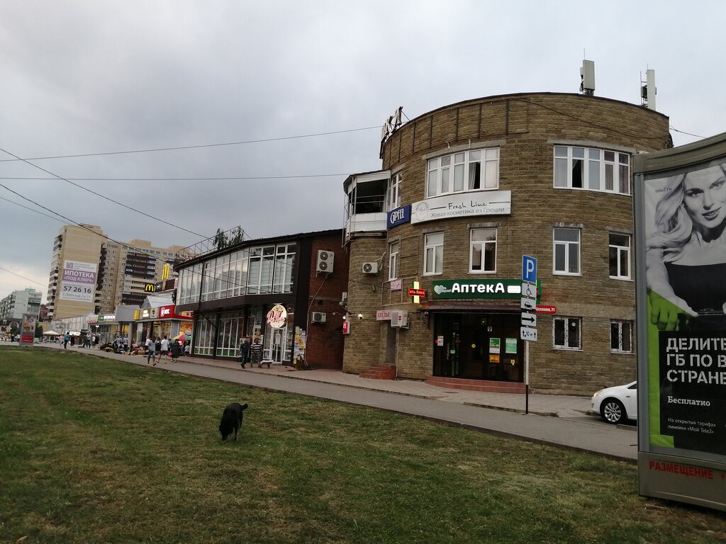 Züccaciye mağazaları Gipfel, Maykop, foto