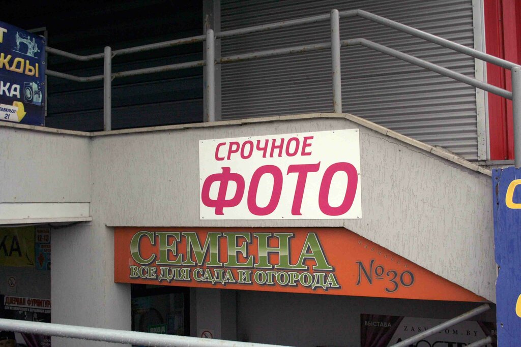 Fotoğraf hizmetleri Vramkach, Minskaya oblastı, foto