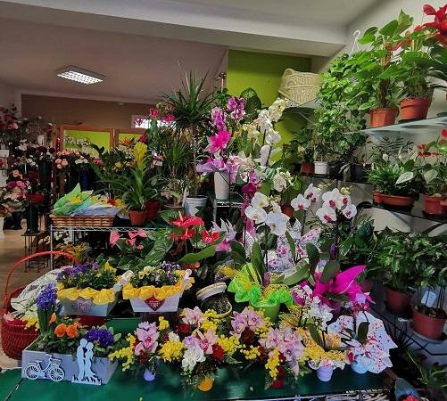Çiçek teslimatı La Violetta Fiori e Piante Li Punti, Sardunya, foto