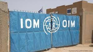 Pasaport ve göç hizmetleri International Organisation for Migration, Abican, foto