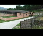 Dog Happy Village (Campania, Avellino, Pratola Serra), evcil hayvan yetiştiricileri  Campania'dan