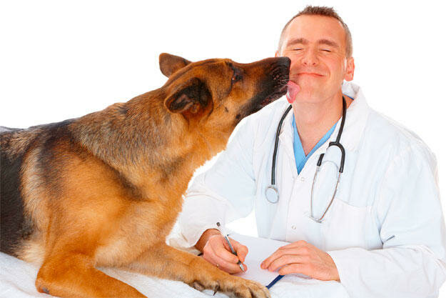 Veteriner klinikleri Centro Veterinario della Valle, Lombardiya, foto