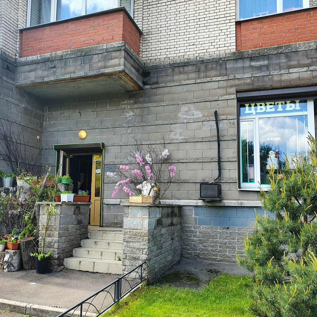 Çiçekçiler Matthiola, Saint‑Petersburg, foto