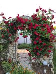 Guest house Na Komsomol'skoi 37 (Комсомольская улица No:37, село Оленевка), otel  Kırım Cumhuriyeti'nden