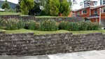 Flor y Jardín (Region Metropolitana, Guatemala, Zona 7, 37 Avenida), bahçecilik mağazaları  Guatemala'dan