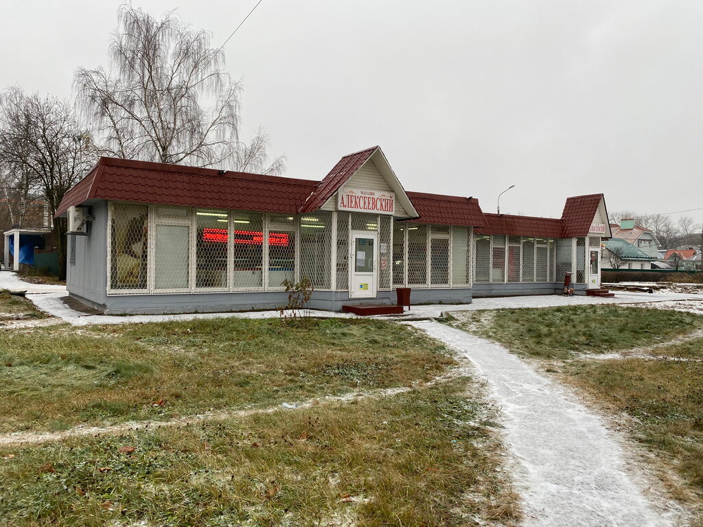 Market Алексеевский, Elektrostal, foto