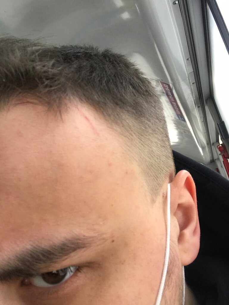 Berberler Taiga, Vologda, foto