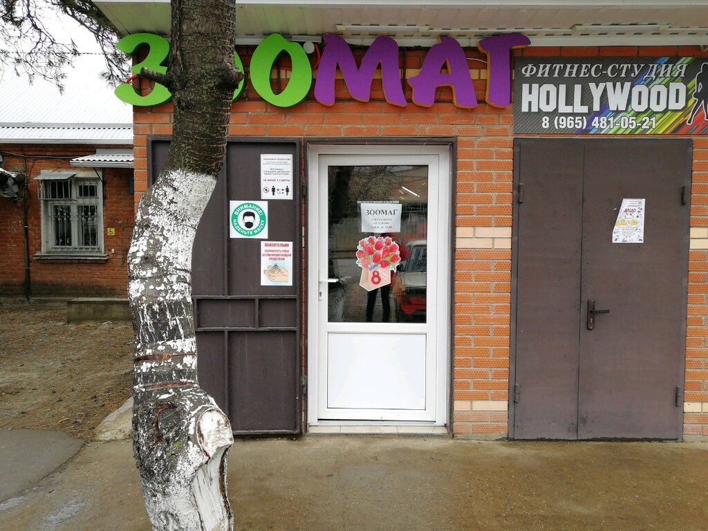 Petshop Зоомаг, Krasnodarski krayı, foto