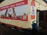 Живая планета (Vakzaĺnaja vulica No:8Б), petshop  Luninets'ten