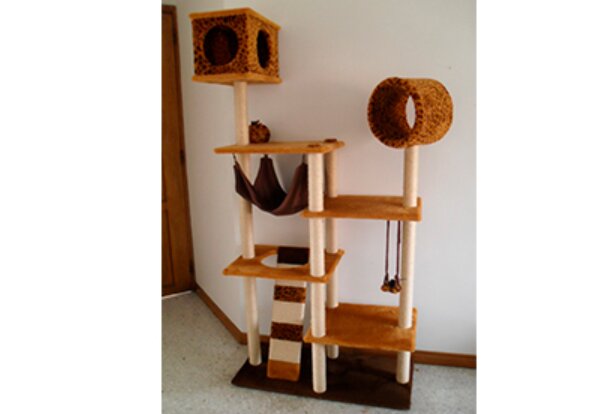 Veteriner eczaneleri Red canary, Medellin, foto