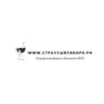 Страусы в Сибири (Novosibirsk Region, gorodskoye poseleniye Kolyvan), geziler  Novosibirskaya oblastından