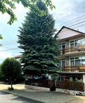 Apartment Rideg Hévíz (Zala vármegye, Hévíz, Kodály Zoltán utca), kısa süreli konaklama  Zala'dan
