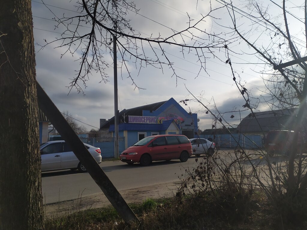 Oto lastik tamiri Шиномонтаж, Novozybkov, foto
