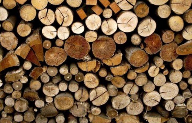 Isıtma sistemleri ve ekipmanları Il Bosco, Sardunya, foto