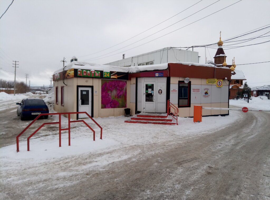 Çiçekçiler Цветы, Nijnekamsk (Tüben Kama), foto