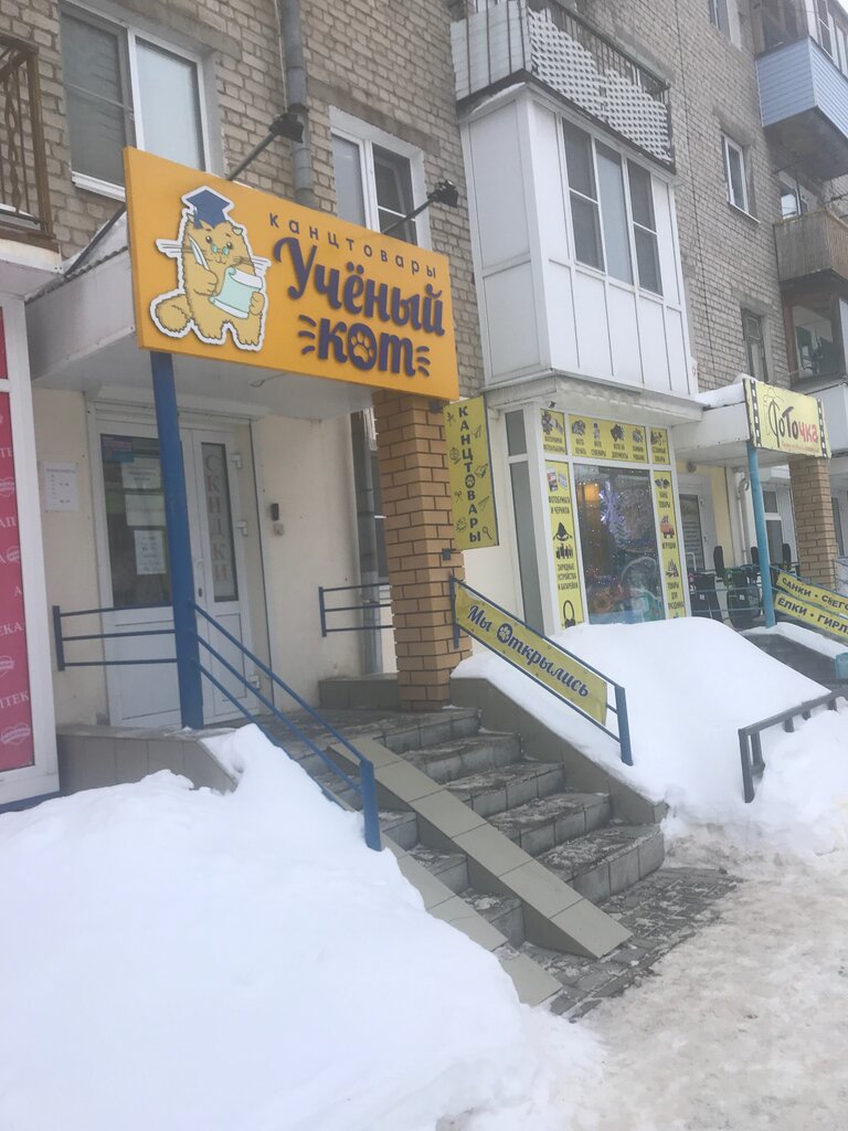 Kırtasiyeler Учёный кот, Bor, foto