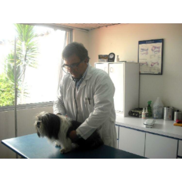 Veteriner klinikleri Veterinaria Grecia, Bogota, foto