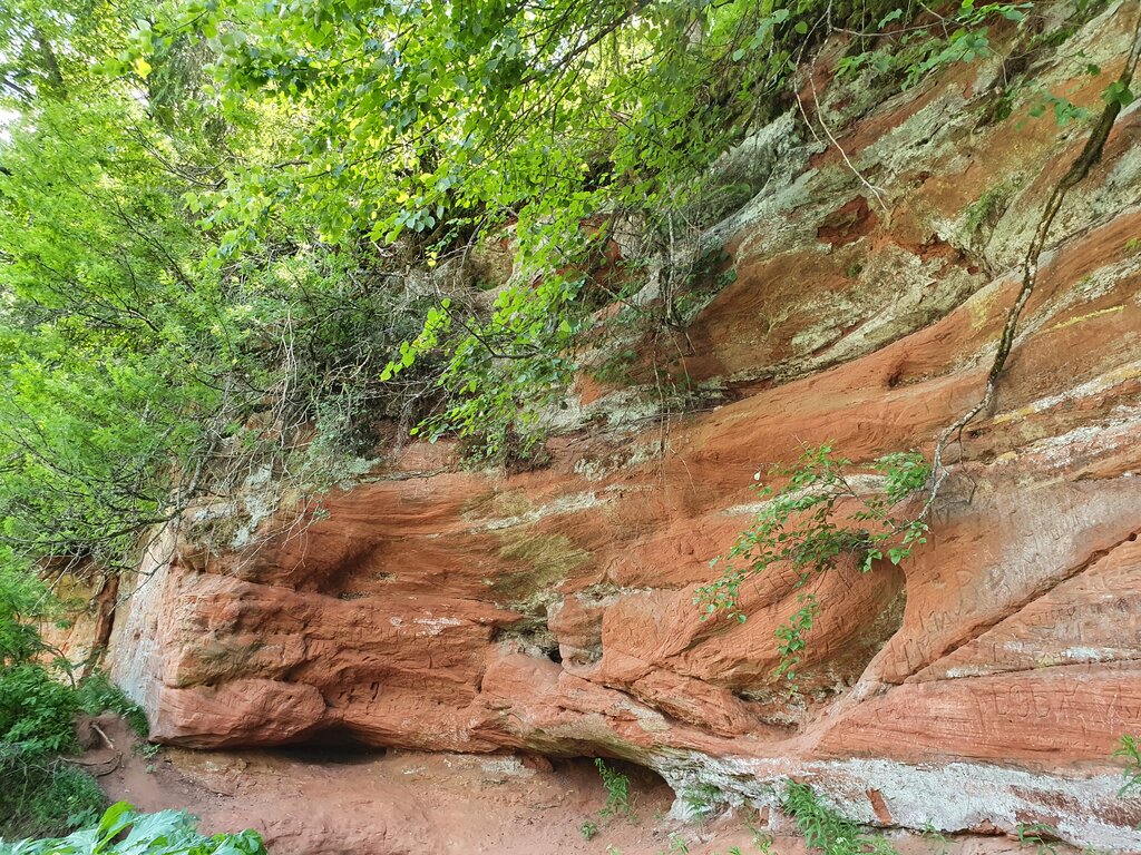 Doğa Обнажения девона, Saint‑Petersburg ve Leningradskaya oblastı, foto