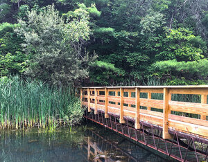 Pine Acres Resort (United States, Raymond, 74 Freetown Road), kültür ve eğlence parkları  New Hampshire Eyaleti'nden