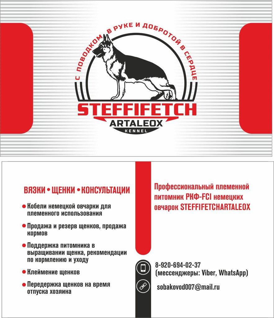 Hayvancılık Steffifetchartaleox, Tverskaya oblastı, foto