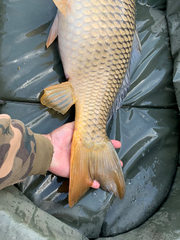 Avcılar ve balıkçılar Платная рыбалка, Samarskaya oblastı, foto