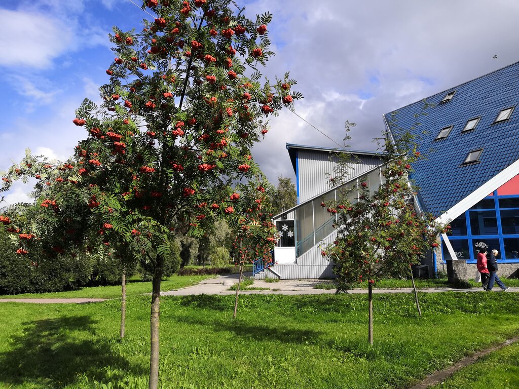 Kültür ve eğlence parkları Харламов сквер, Kolpino, foto